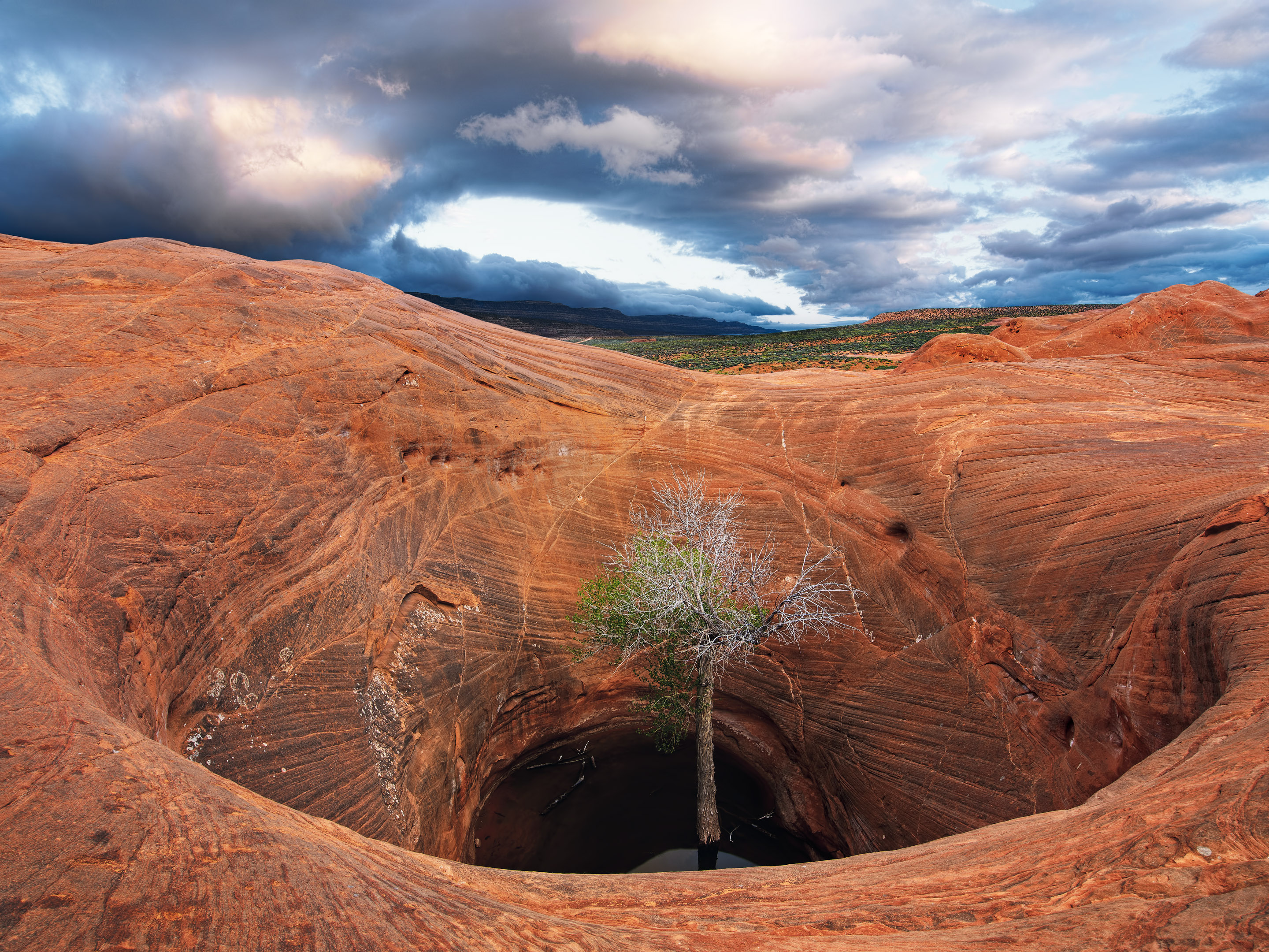 POTD: Tenacity – Ed Cooley – Photographer