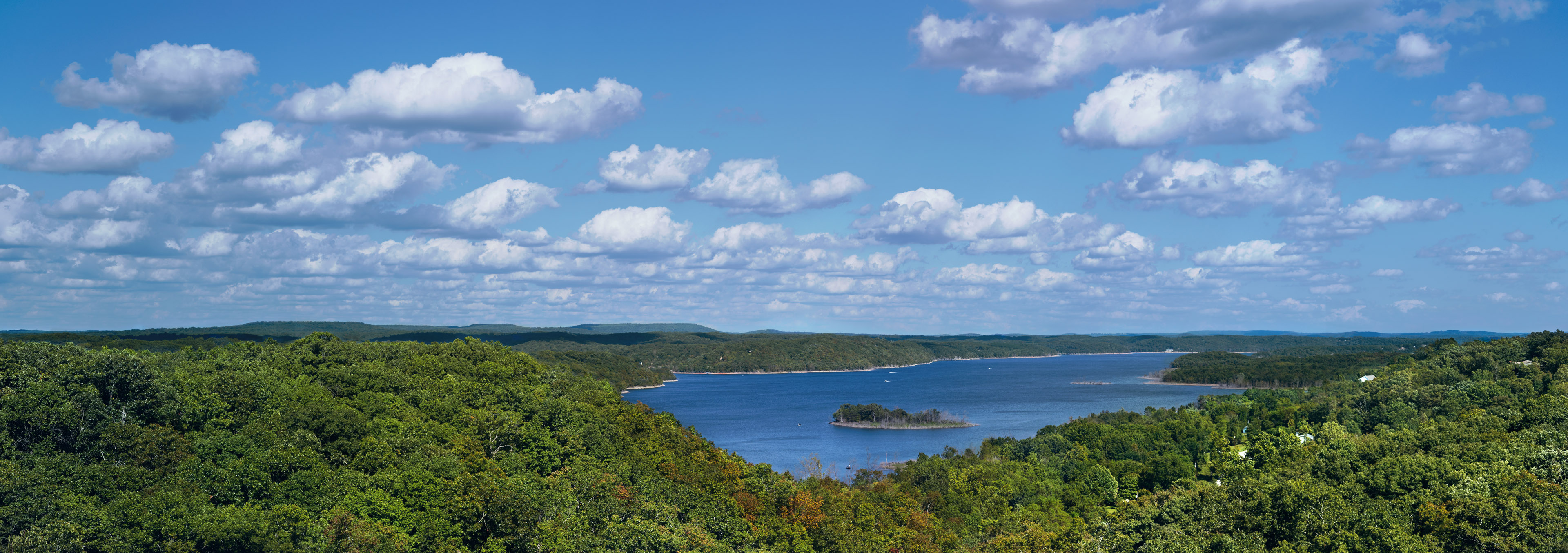 POTD: Daydreaming – Ed Cooley – Photographer